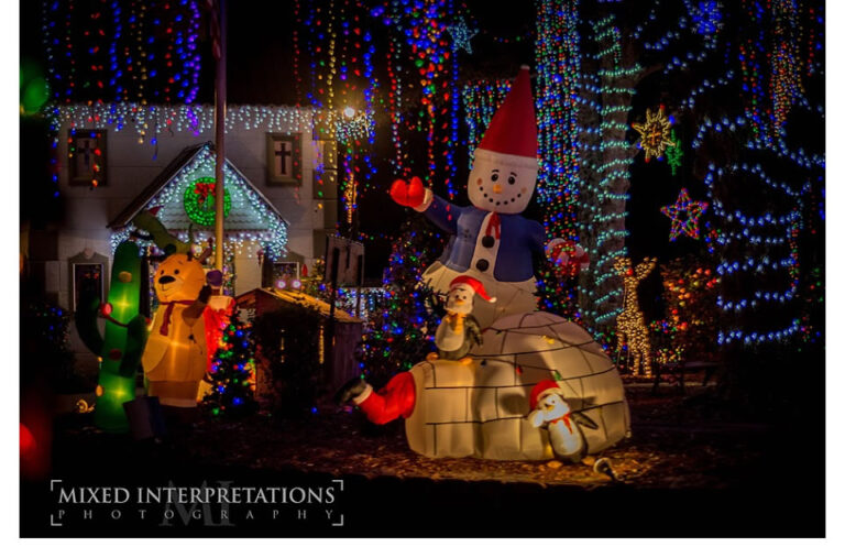 Arctic Express – Wales West Light Railway